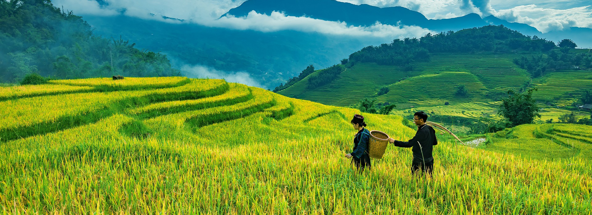 Welkom bij Burgtours